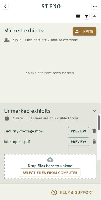 How do I set up and use the Steno Connect App for Zoom?